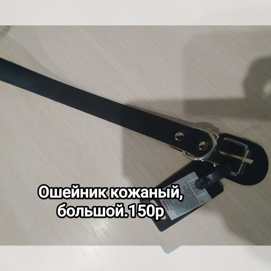 Ошейник для собак