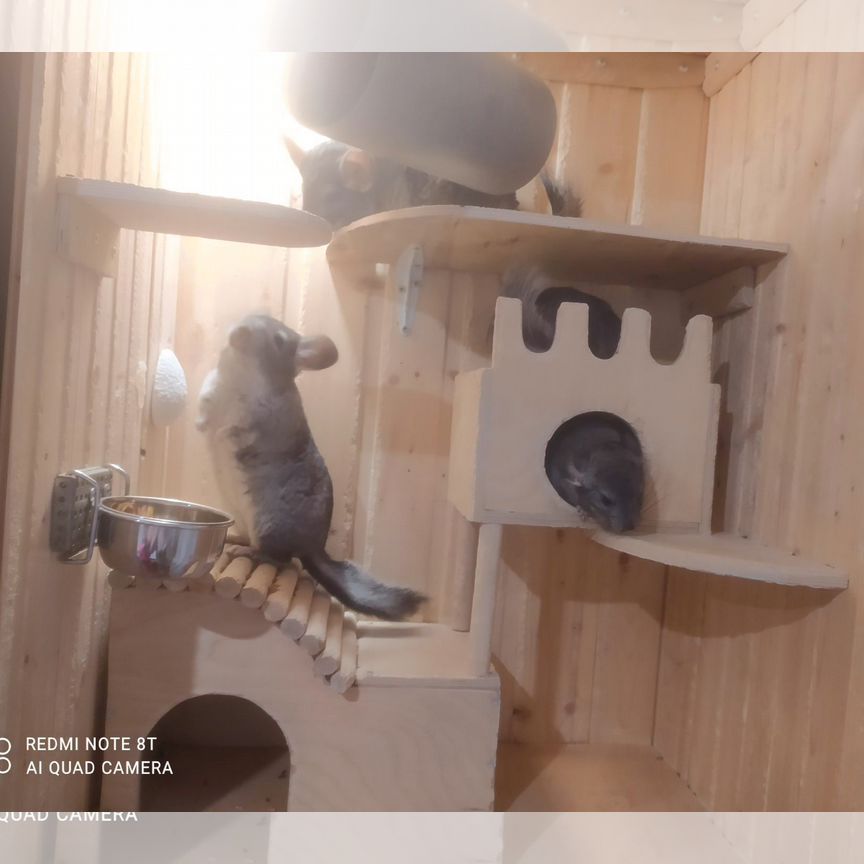 Продаеться вольер с щиншилами