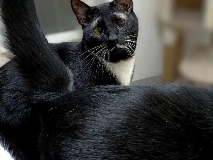 Джульетта ждет чуда