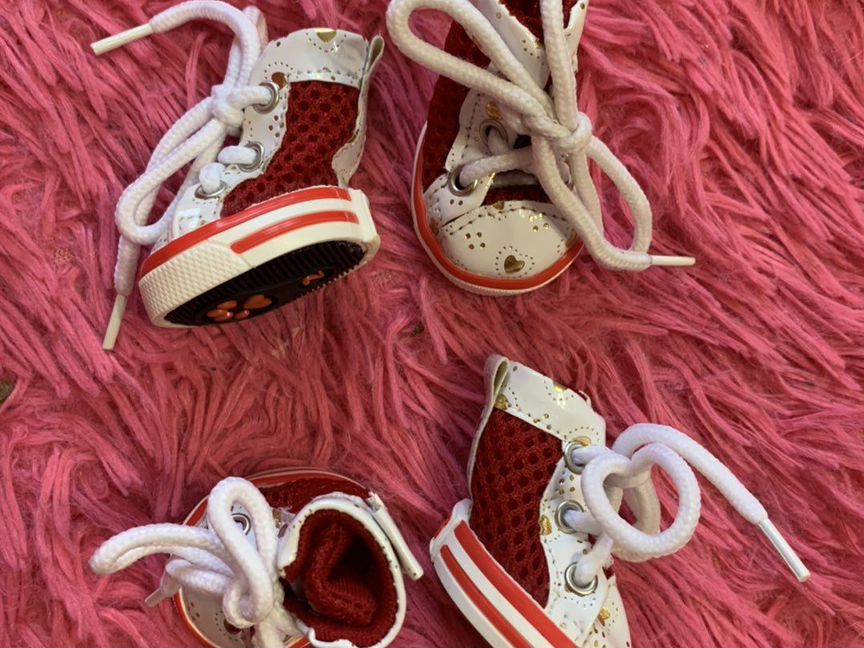 Кеды для собак 2 размер