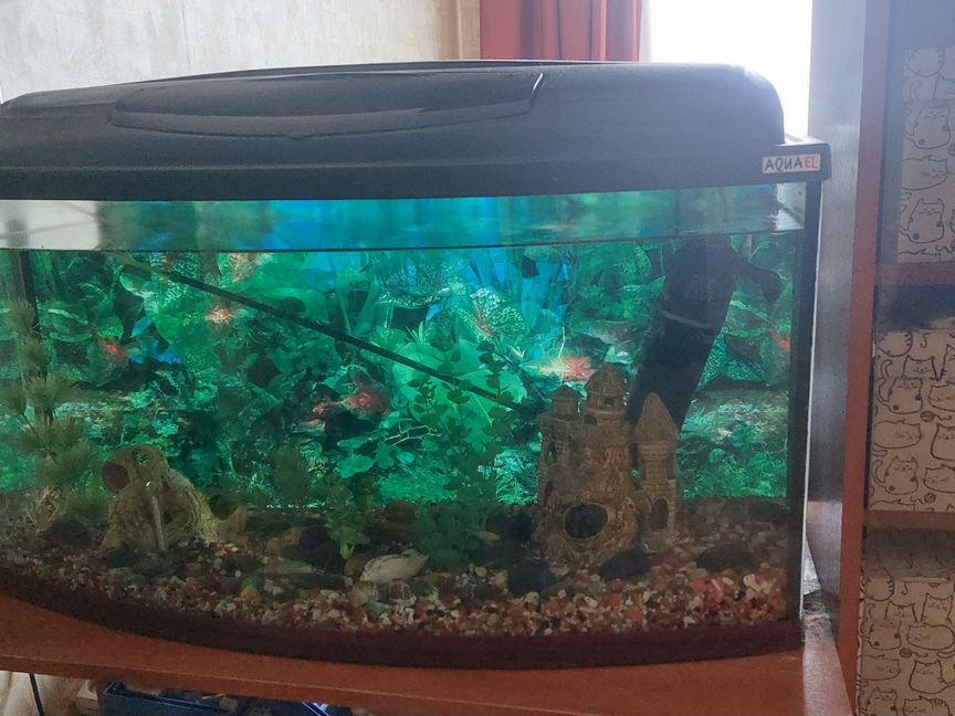 Аквариум 120л не течет