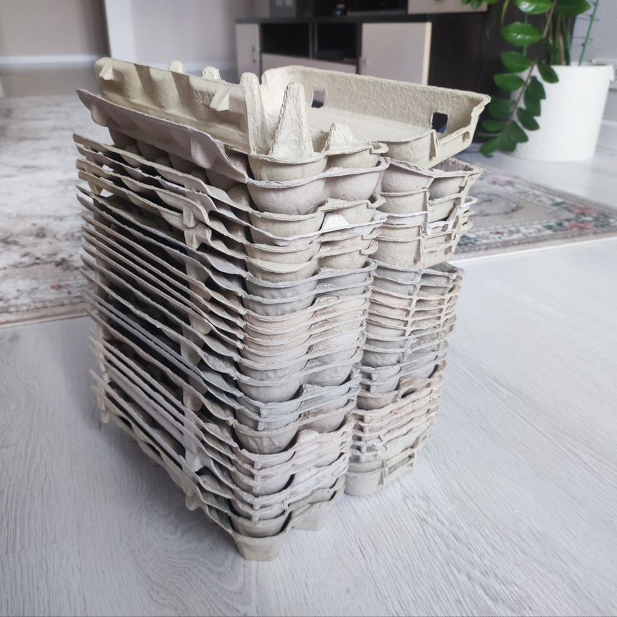 Яичные лотки