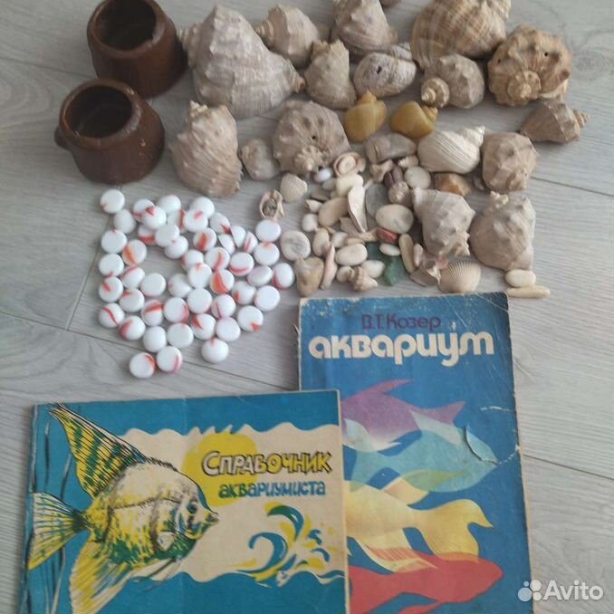Для аквариума ракушки, книги