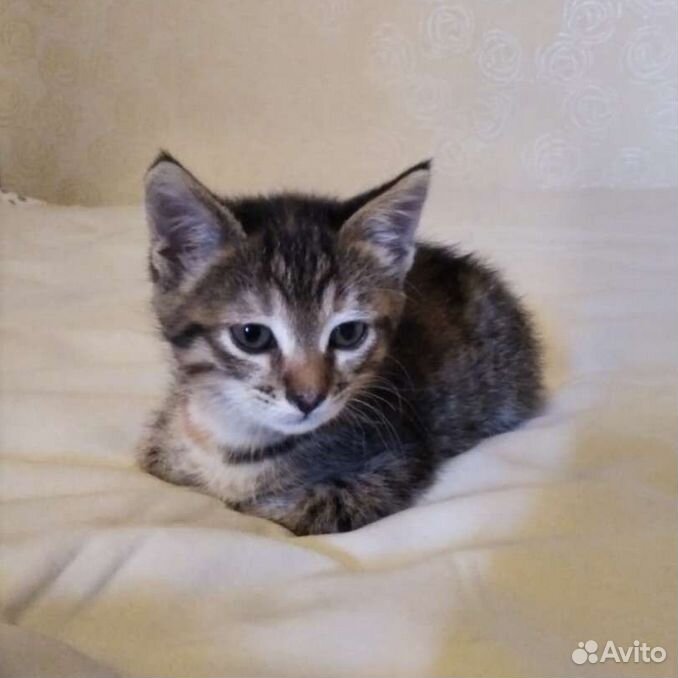 Малышка 2 мес