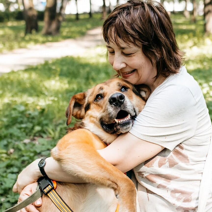 Собака в добрые руки