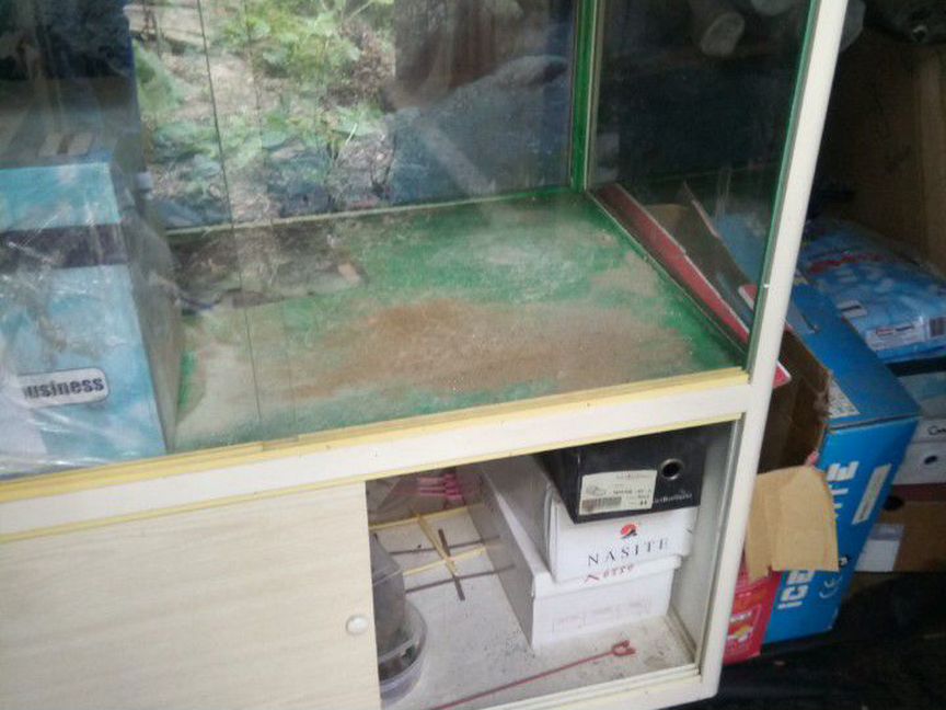 Витрина переделанная в террариум