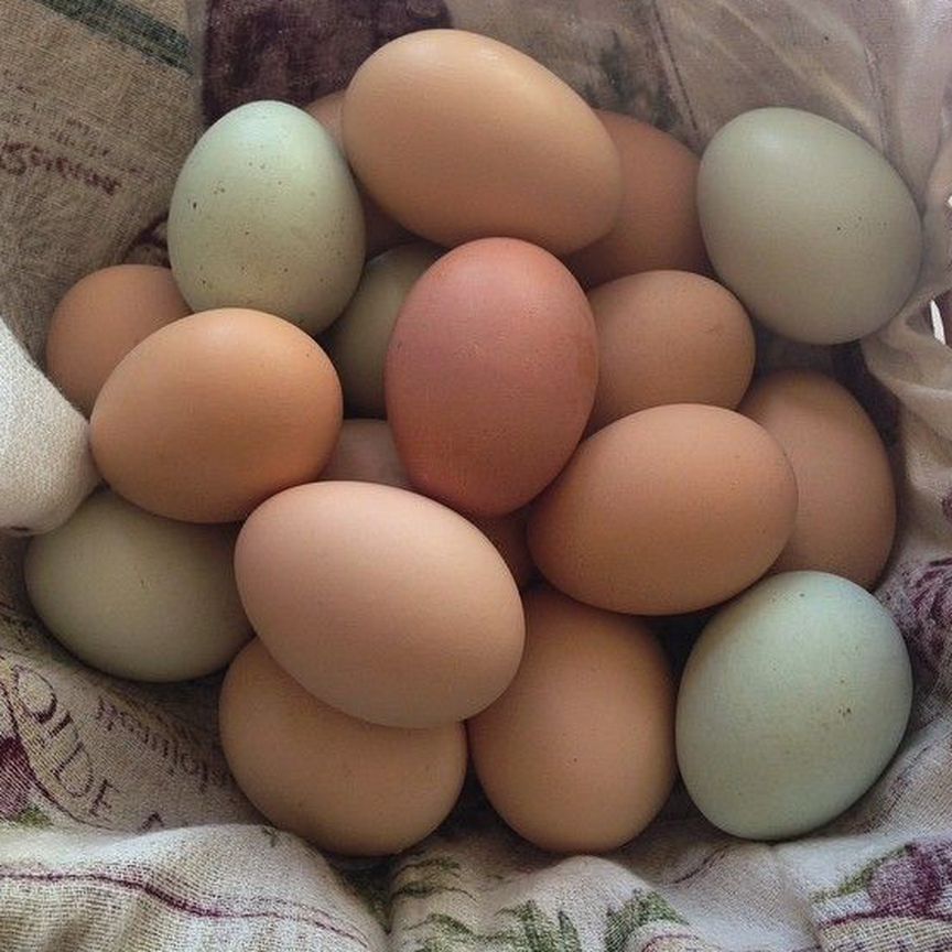 Продам свое