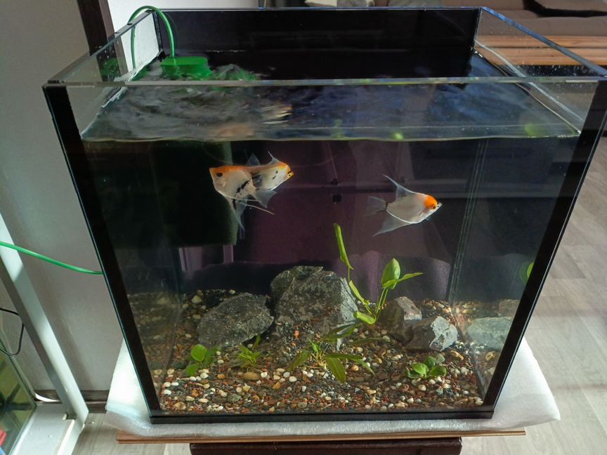 Аквариум комплект 2шт