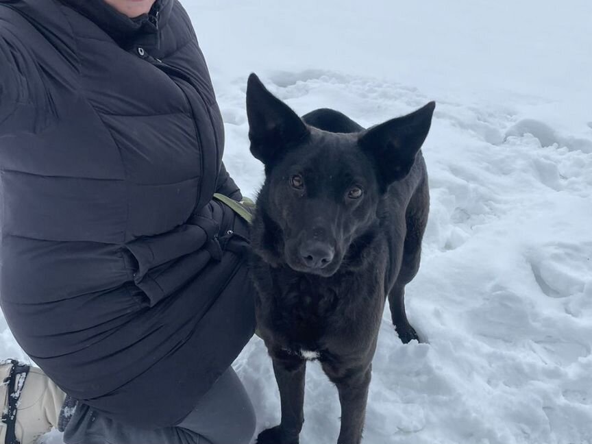 Лео ищет родителей