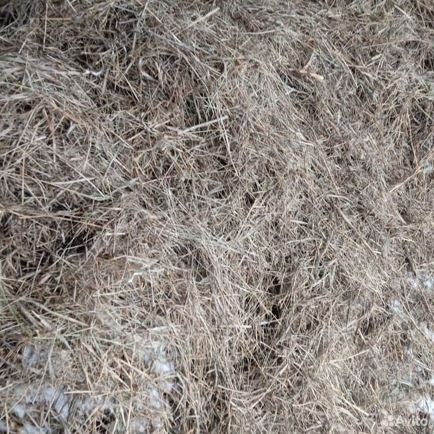 Обеди на подстилку