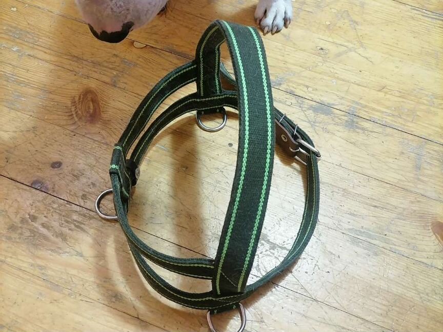 Шлейка для собаки