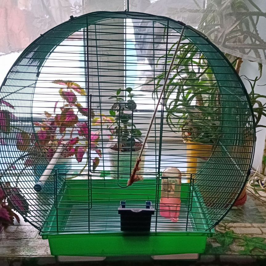 Клетка для попугая бу