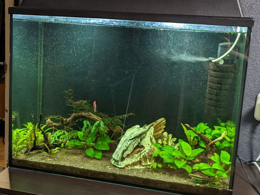 Аквариум 120 литров