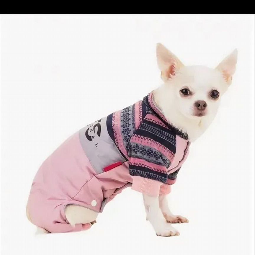 Комбинезон для собак Petmax xl