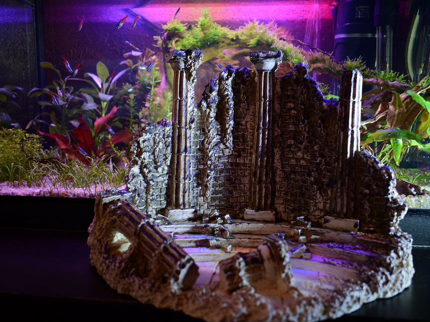 Камни, коряги, замок, живые растения