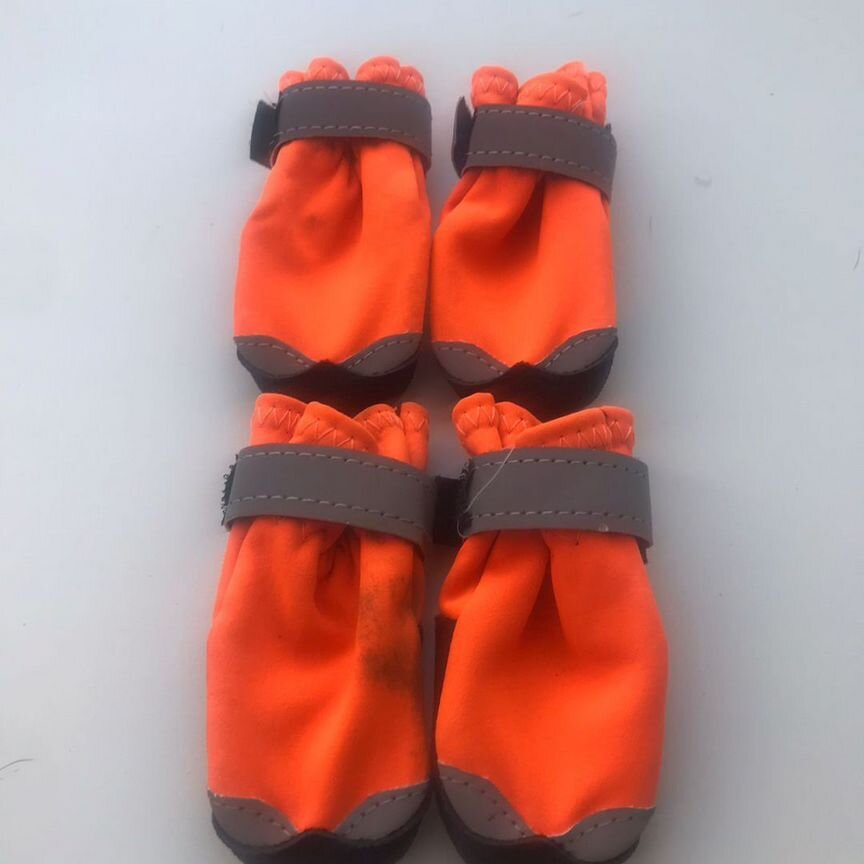 Обувь для животных