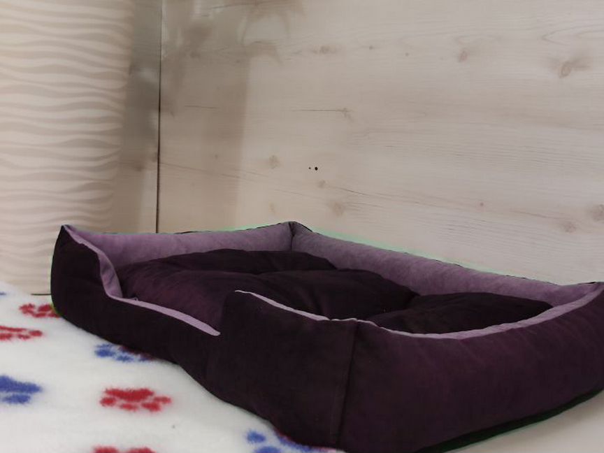 Лежанка для домашних животных