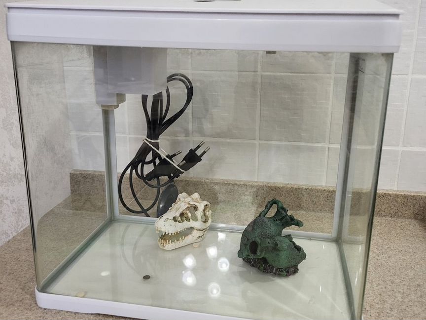 Аквариум террариум для рыбок лягушек