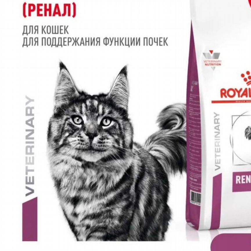 Сухой корм для кошек royal canin renal