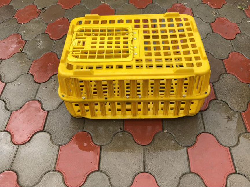 Клетки для перевозки птиц и кроликов