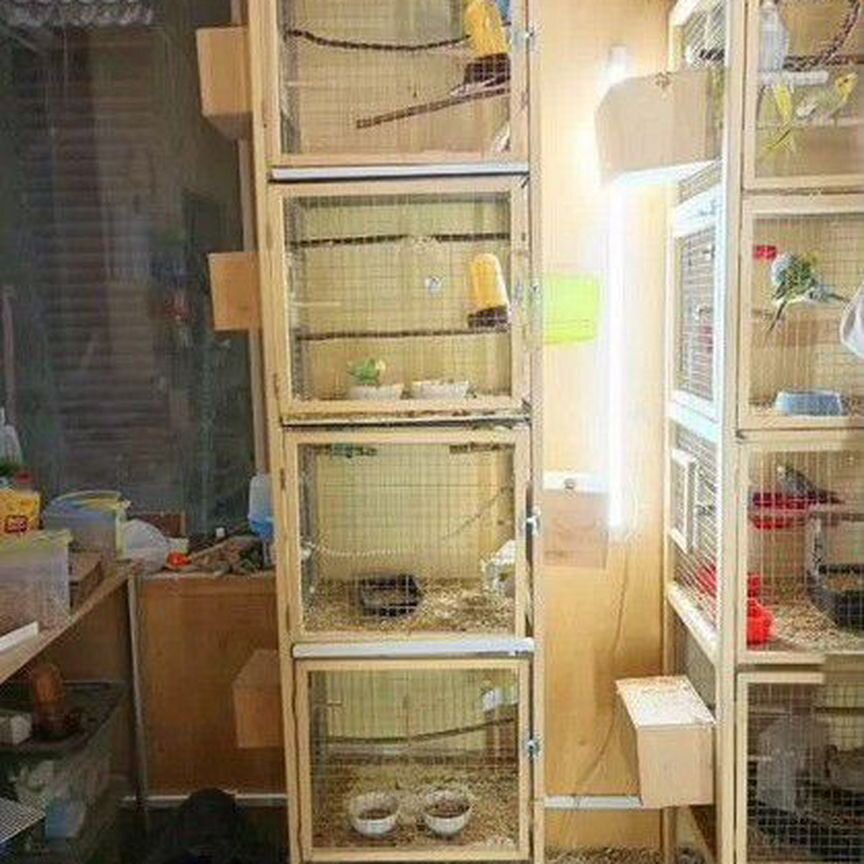 Вольеры для птиц, или кроликов