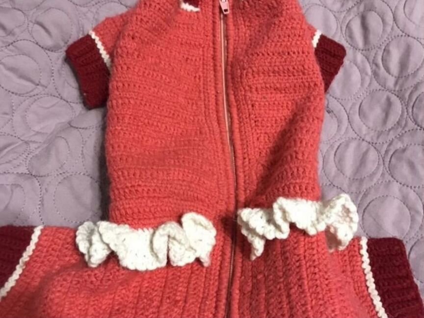 Одежда для маленькой собачки зима