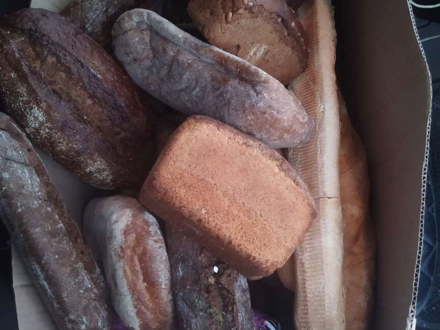 Корма для животных собак птиц