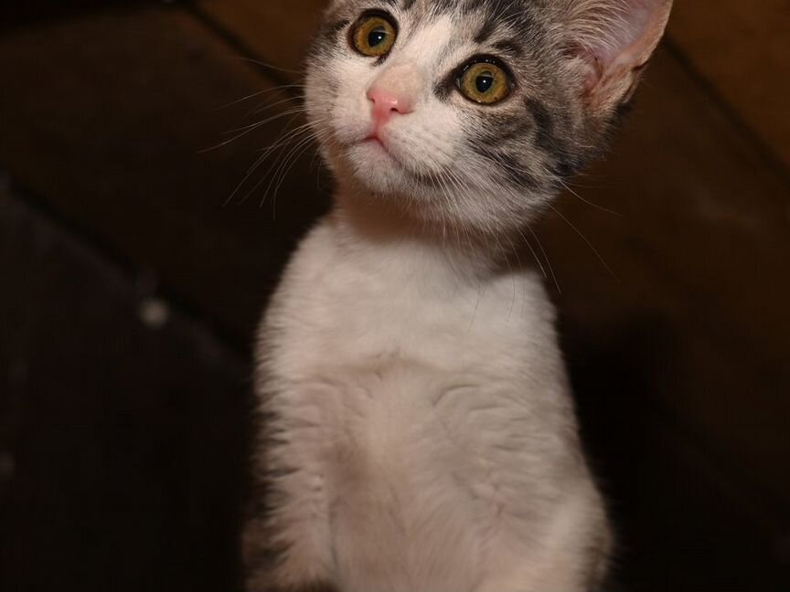 В поисках счастья лялякатя У всех есть шанс