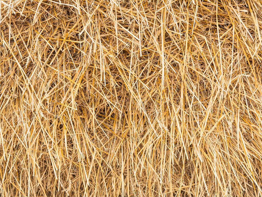 Сено луговое