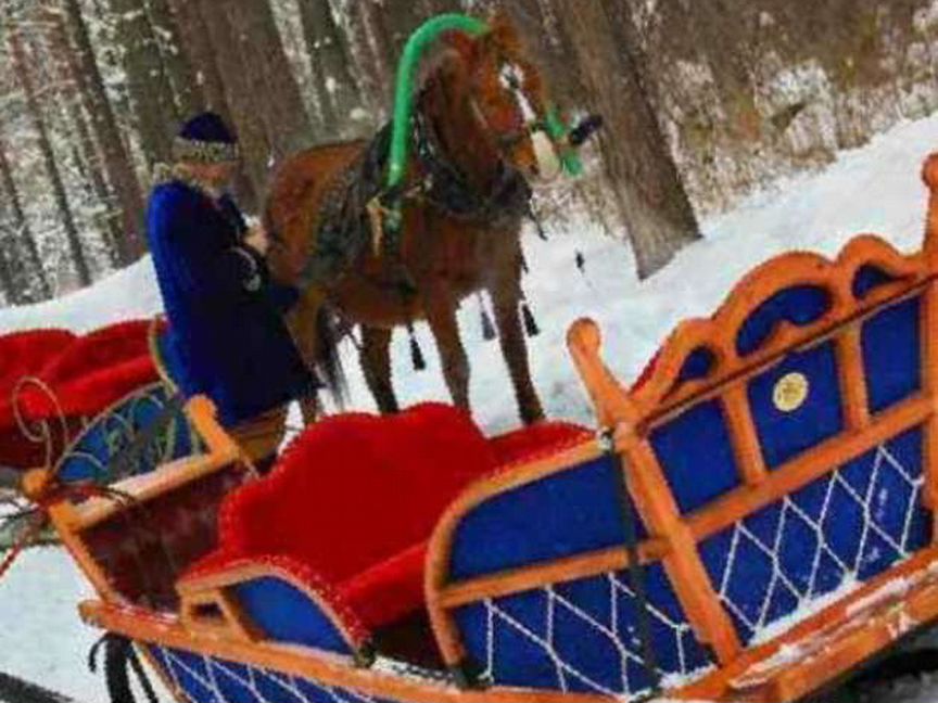 Конные сани