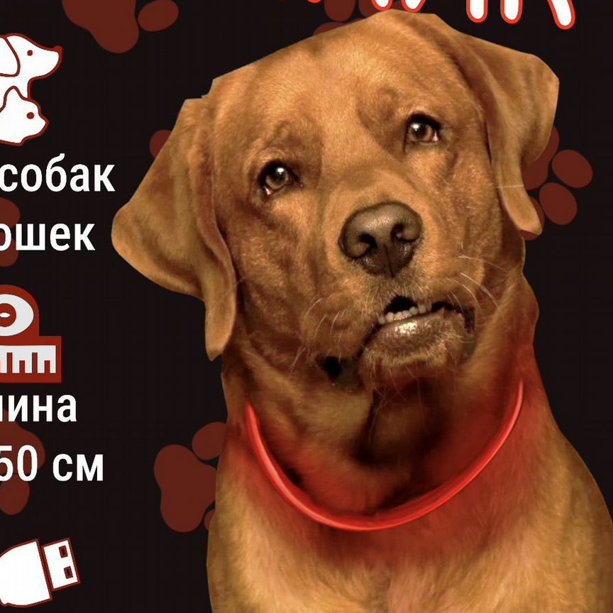 Светящийся ошейник для домашних животных