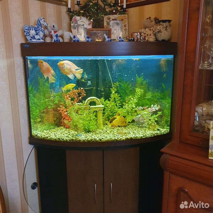 Аквариум Биодизайн Диарама с тумбой и фильтром