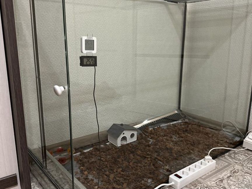 Террариум для рептилий