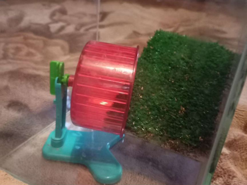 Террариум для улиток или небольших грызунов