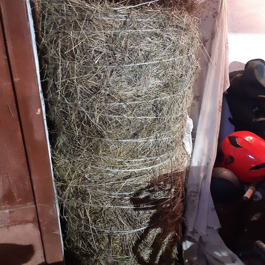 Сено в мини рулонах