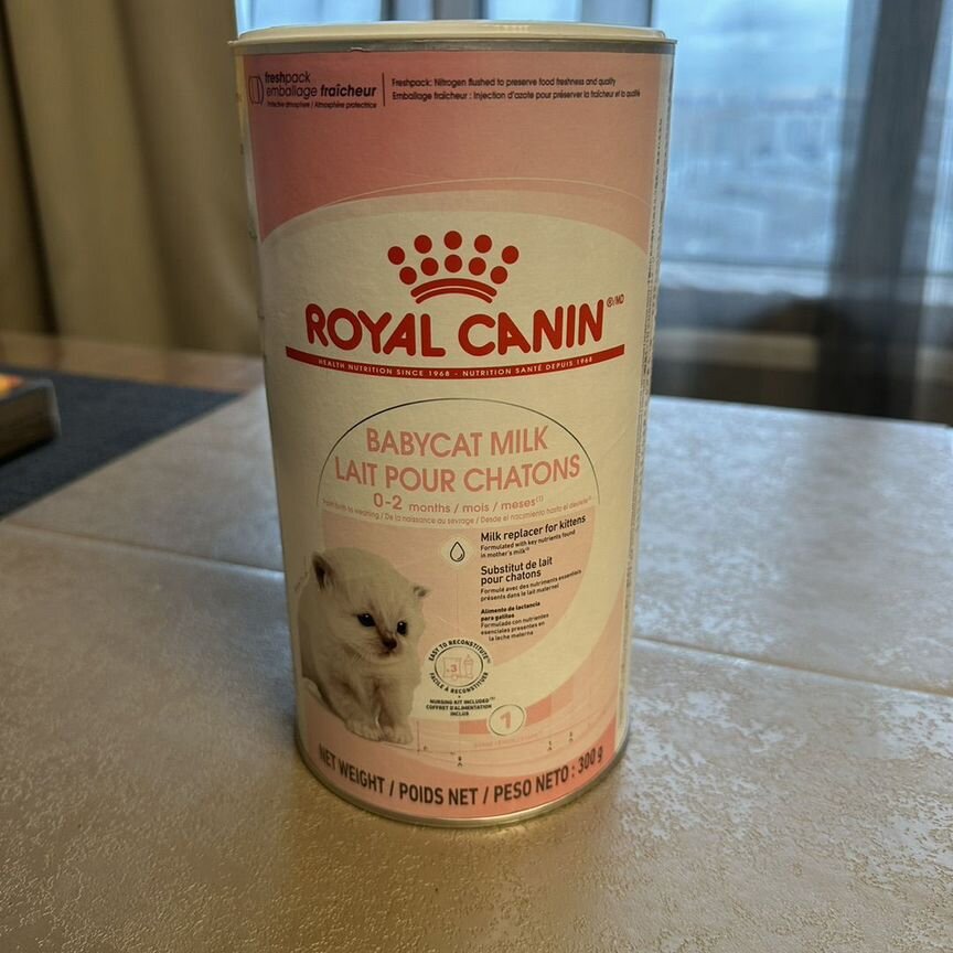 Молоко для котят