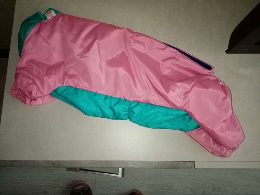 Костюм для таксы