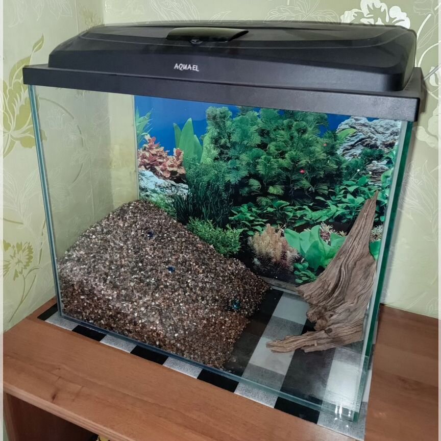Аквариум