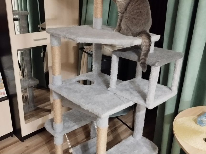 Игровой домик для кошки+рыбка в подарок