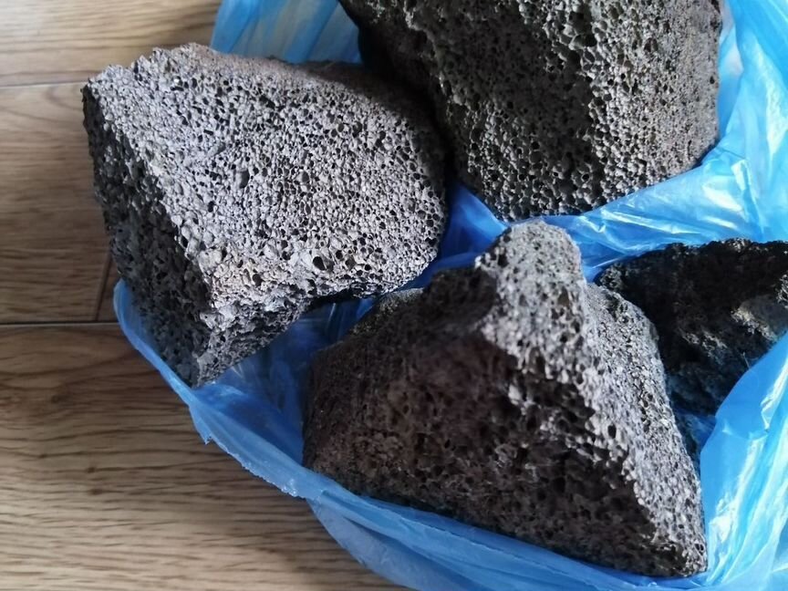 Аквариумистика