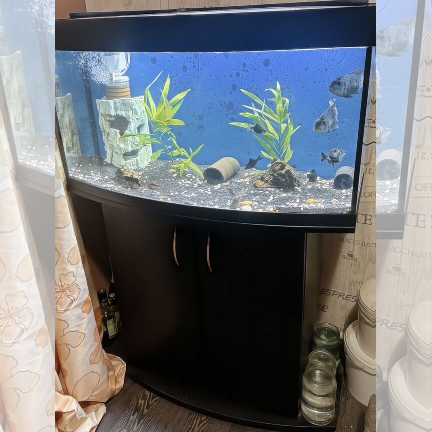 Аквариум с тумбой 100 литров