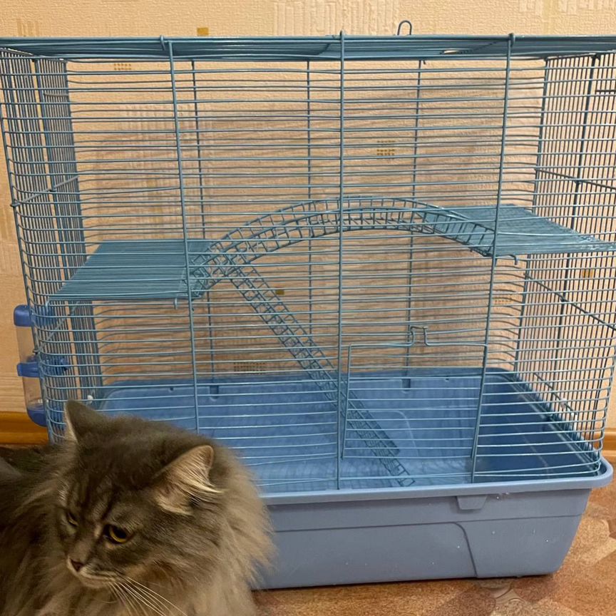 Клетка для грызунов, крыс 60 на 40