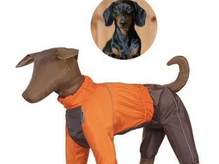 Дождевик для таксы девочки