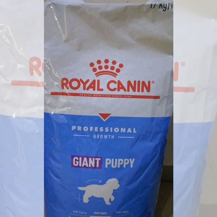 Корм для собак royal canin giant pappy
