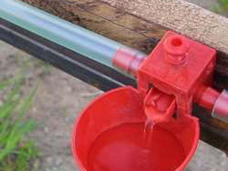 Поилка для птиц