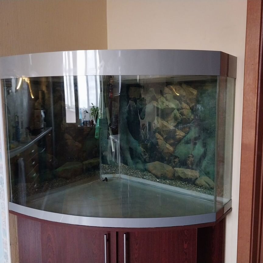 Аквариум для ныряния угловой с тумбой