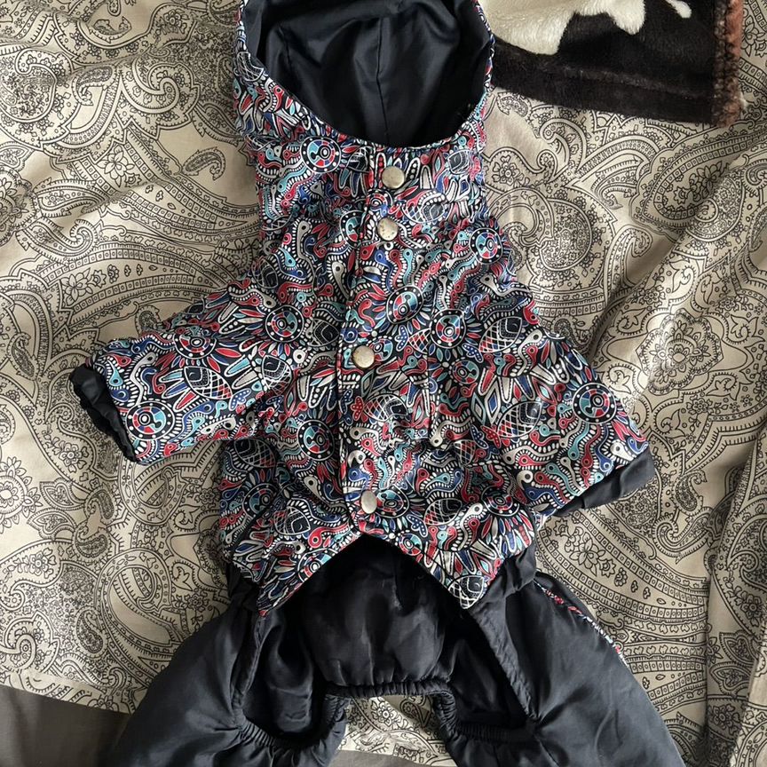 Костюм для мелких пород собак