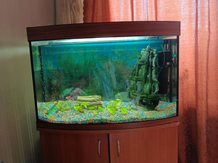 Продажа панорамного аквариума