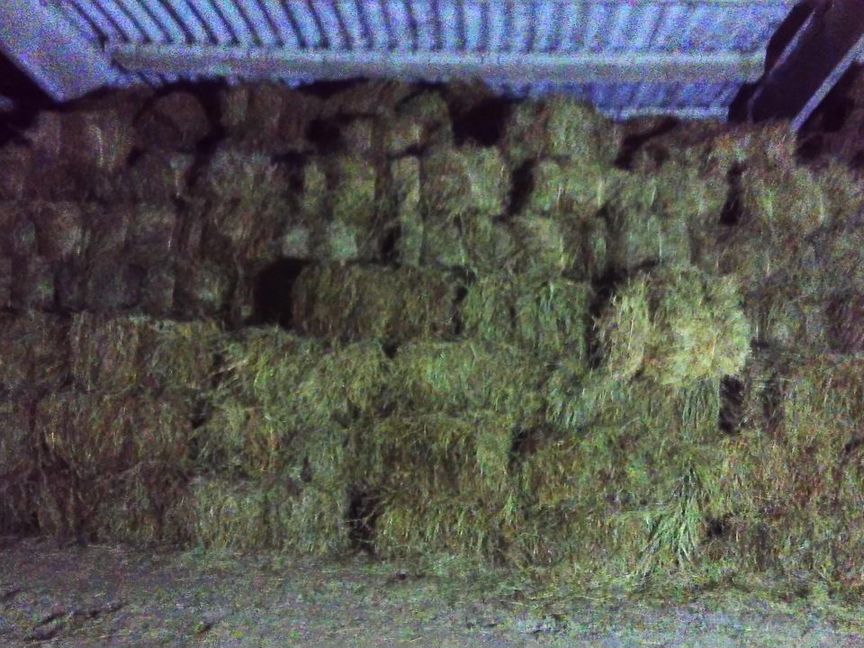 Сено в тюках