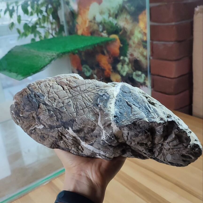 Камень в аквариум террариум